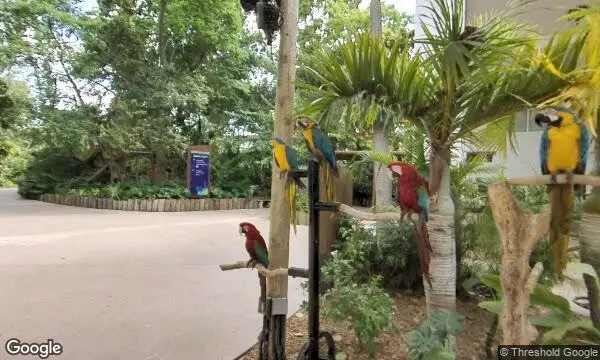 The Horrorland, Miami, Florida