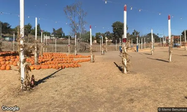 Pumpkin Patch Bonita, Bonita, California