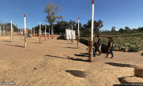 Pumpkin Patch Bonita, Bonita, California