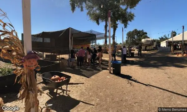 Pumpkin Patch Bonita, Bonita, California