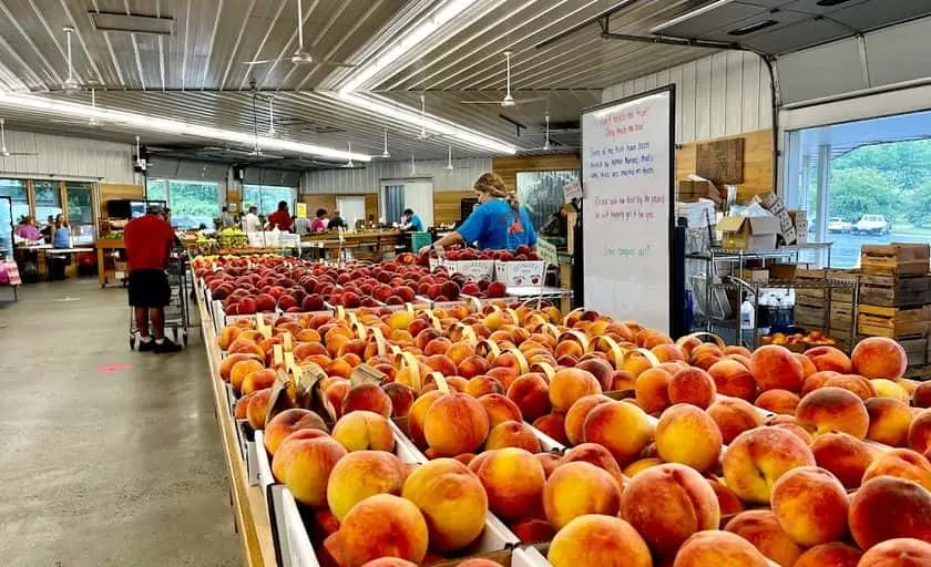 Lewis Orchards, Dickerson, Maryland
