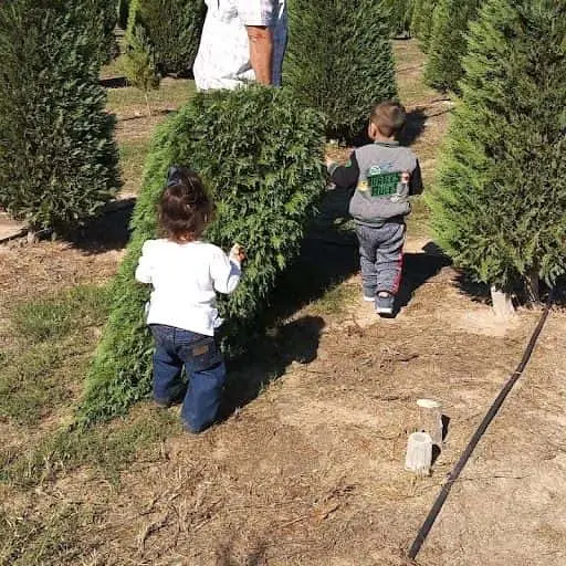 Devine Acres Farm, Devine, Texas