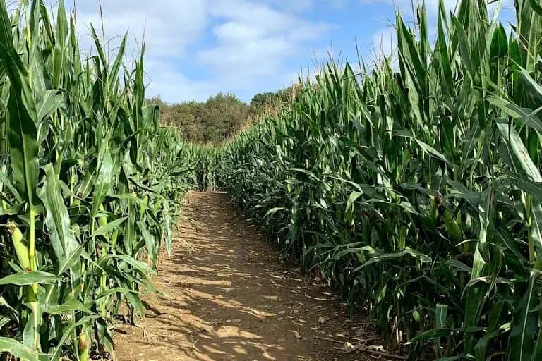 Treat Farm, Orange, Connecticut